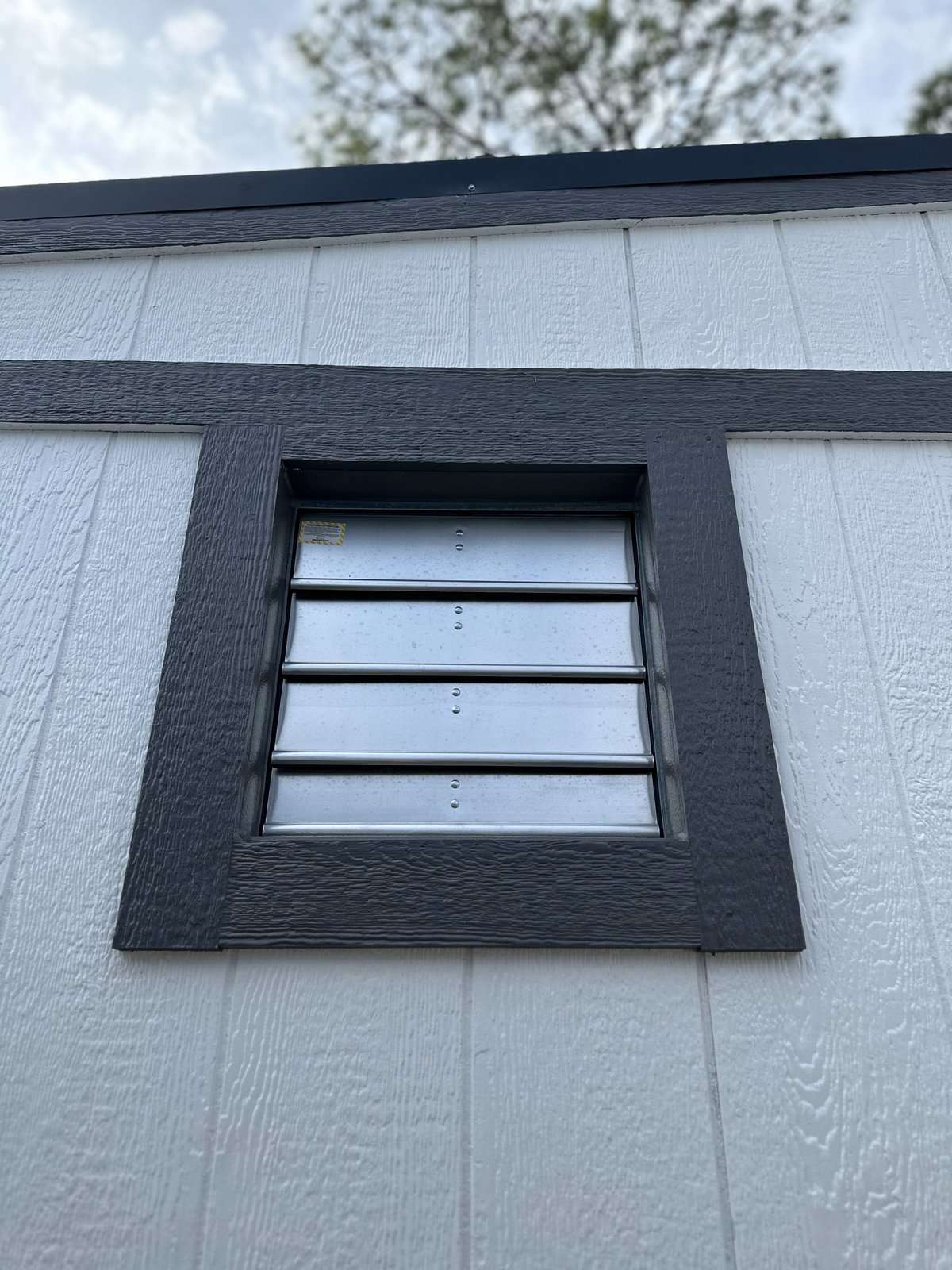 Vista Single Slope White Siding and Black Trim LP Smartside Vertical ...